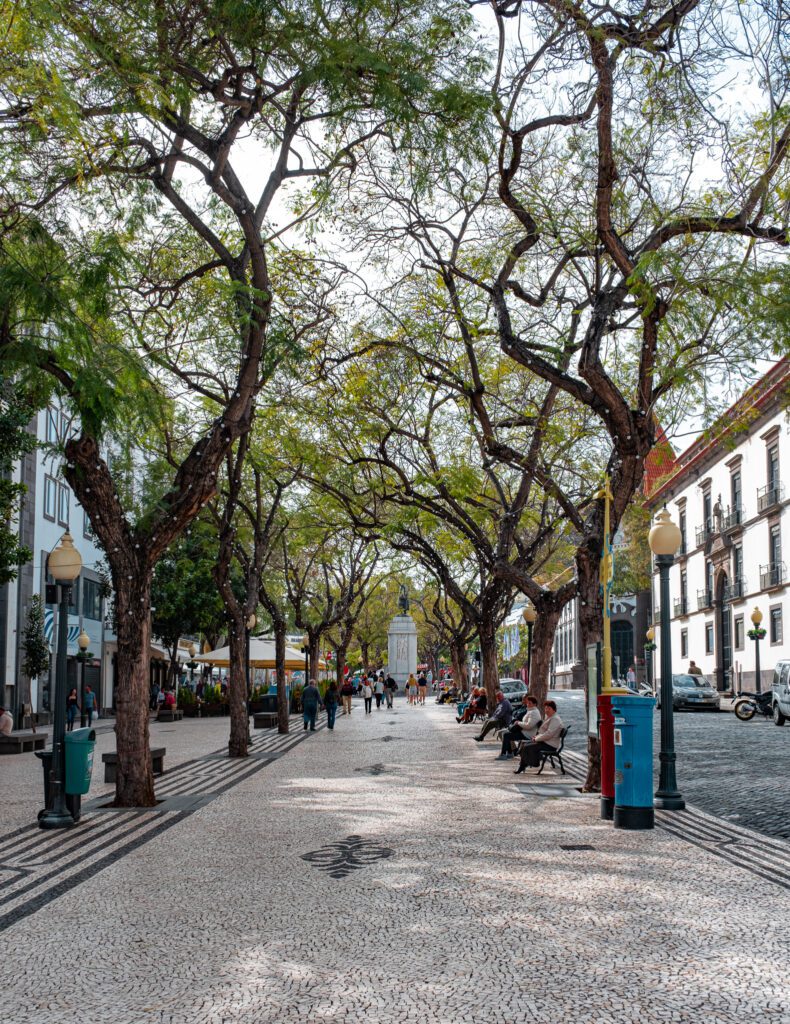 15 Best Things to Do in Funchal, Madeira Right Now - Collective Travel ...