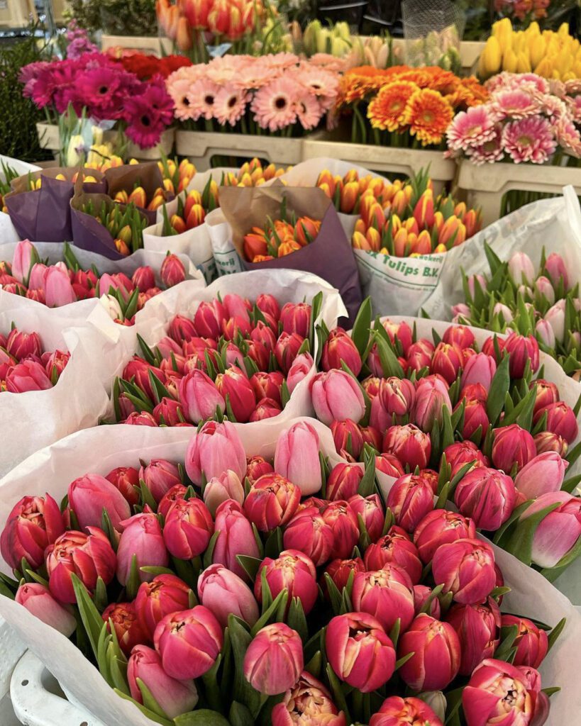 17 Best Things to Do in Rotterdam Right Now